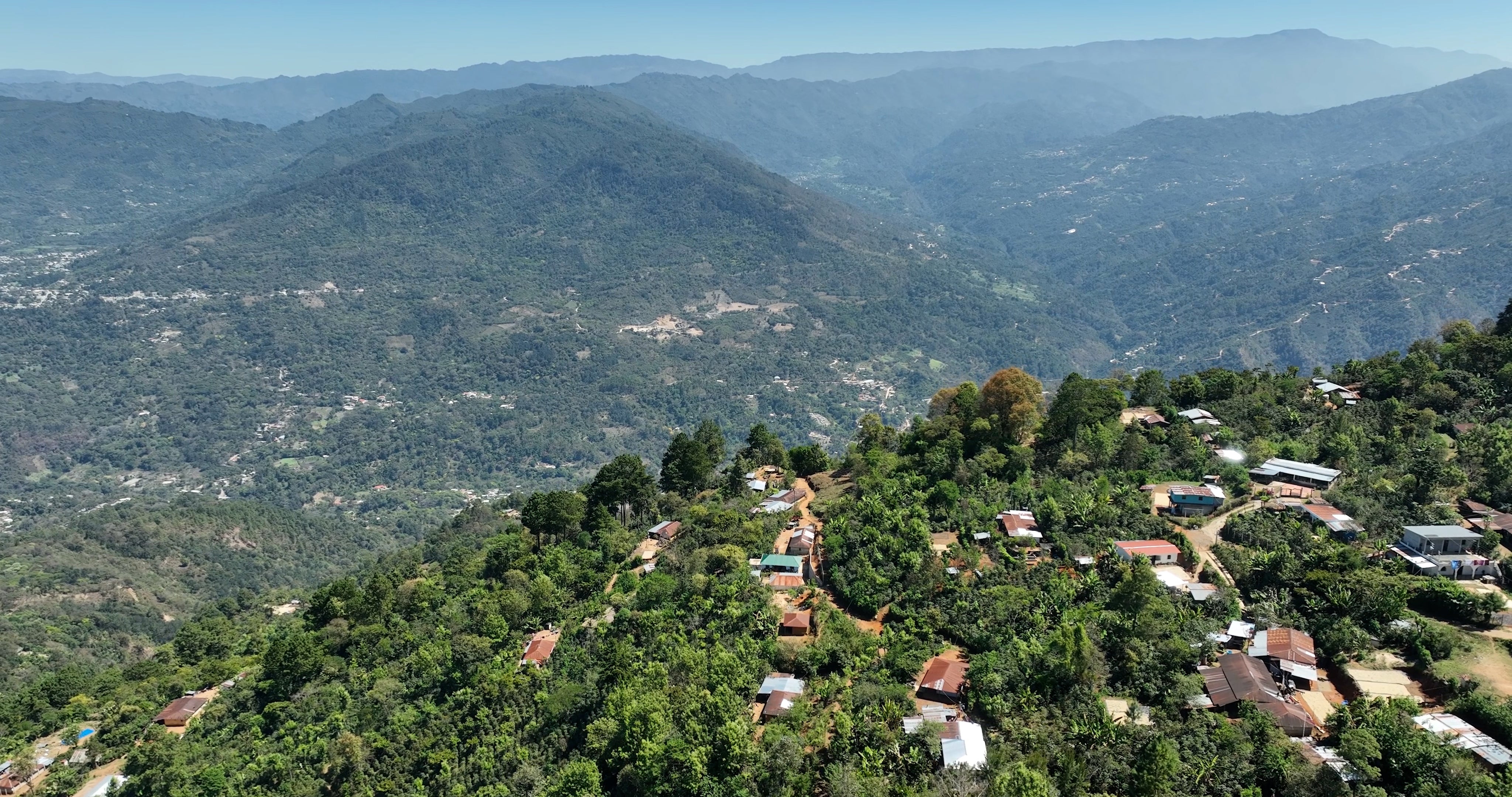 Celebrate Project #75: El Pajal, Guatemala – The Well Coffee Roasters