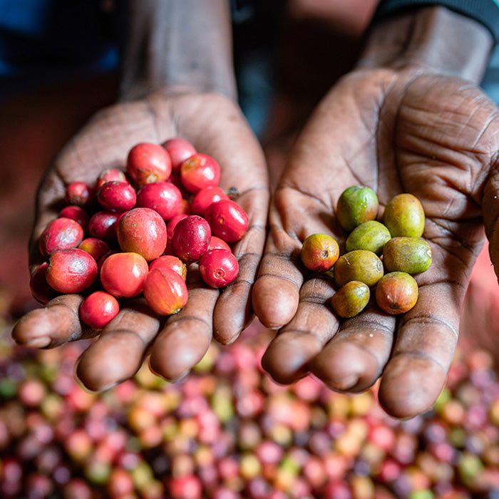 What Will Your Donation Do? – The Well Coffee Roasters