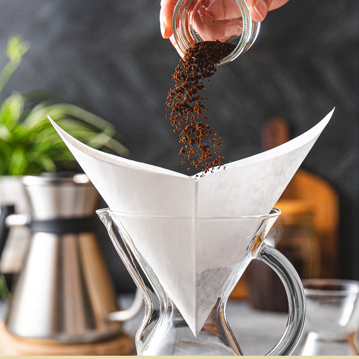 Chemex Filters – The Well Coffee Roasters